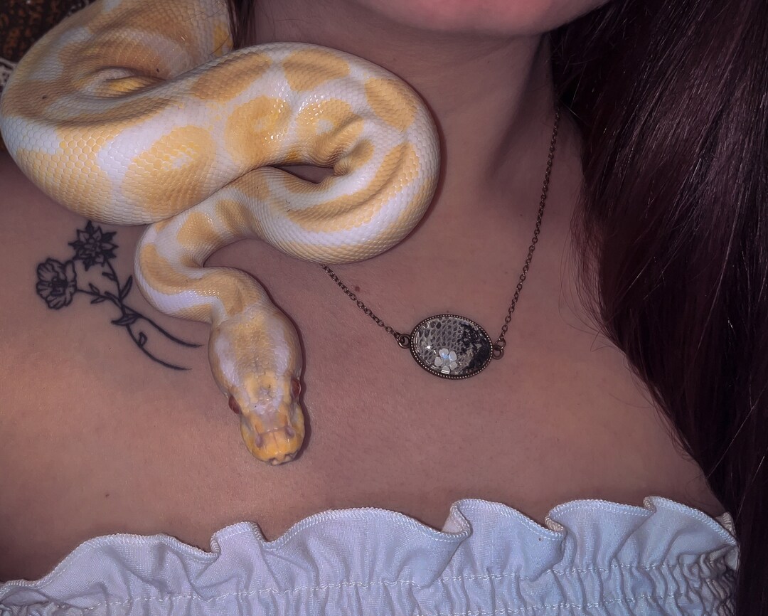 Snakeskin Necklace (real Ball Python Snake Shed) | Unique | Handmade ...