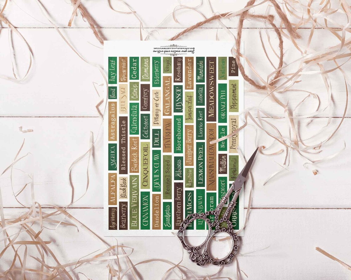 Printable Herbs Glossary Digital Botanical Words Plants | Etsy