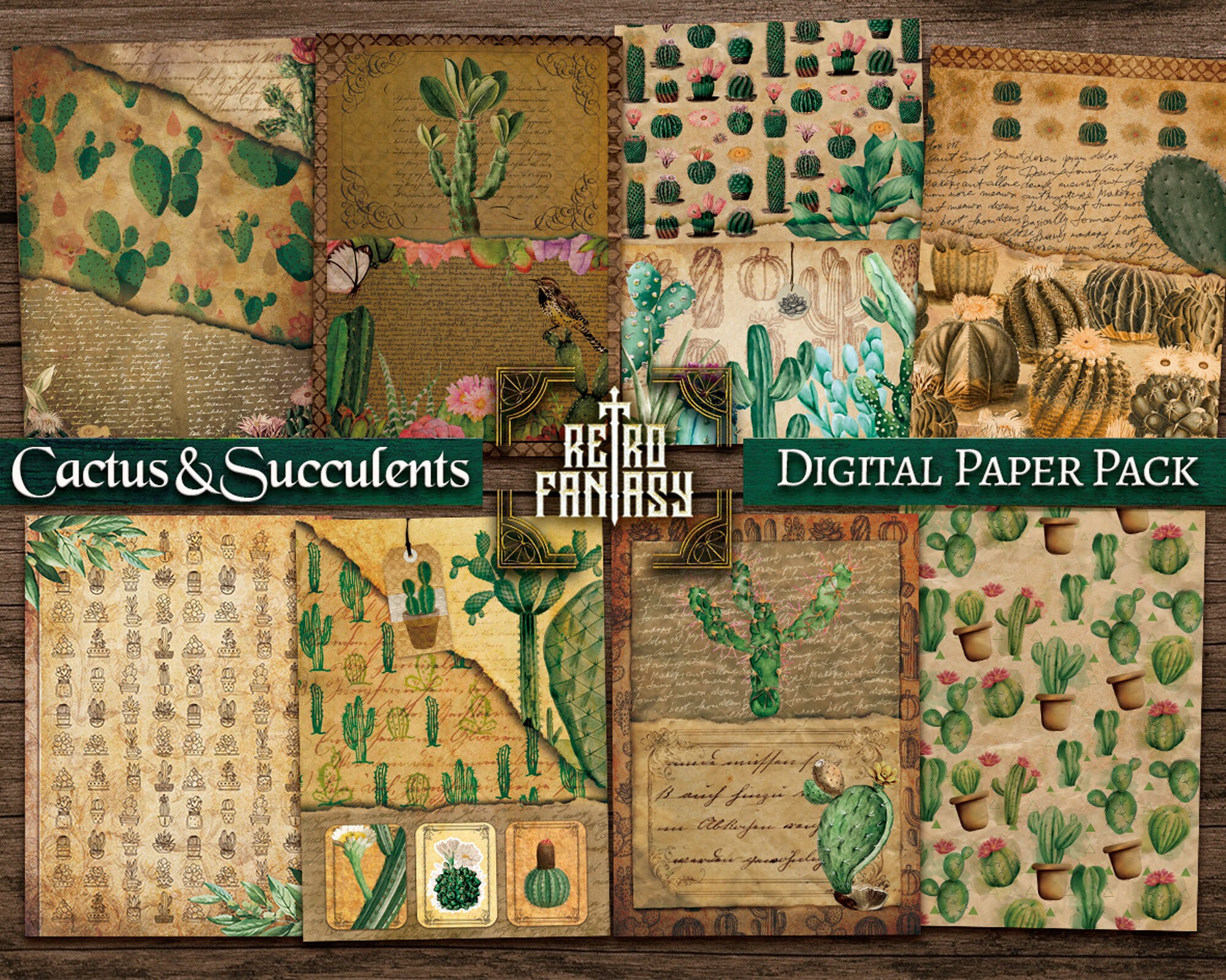 Cactus & Succulents Garden Digital Paper Pack Printable - Etsy