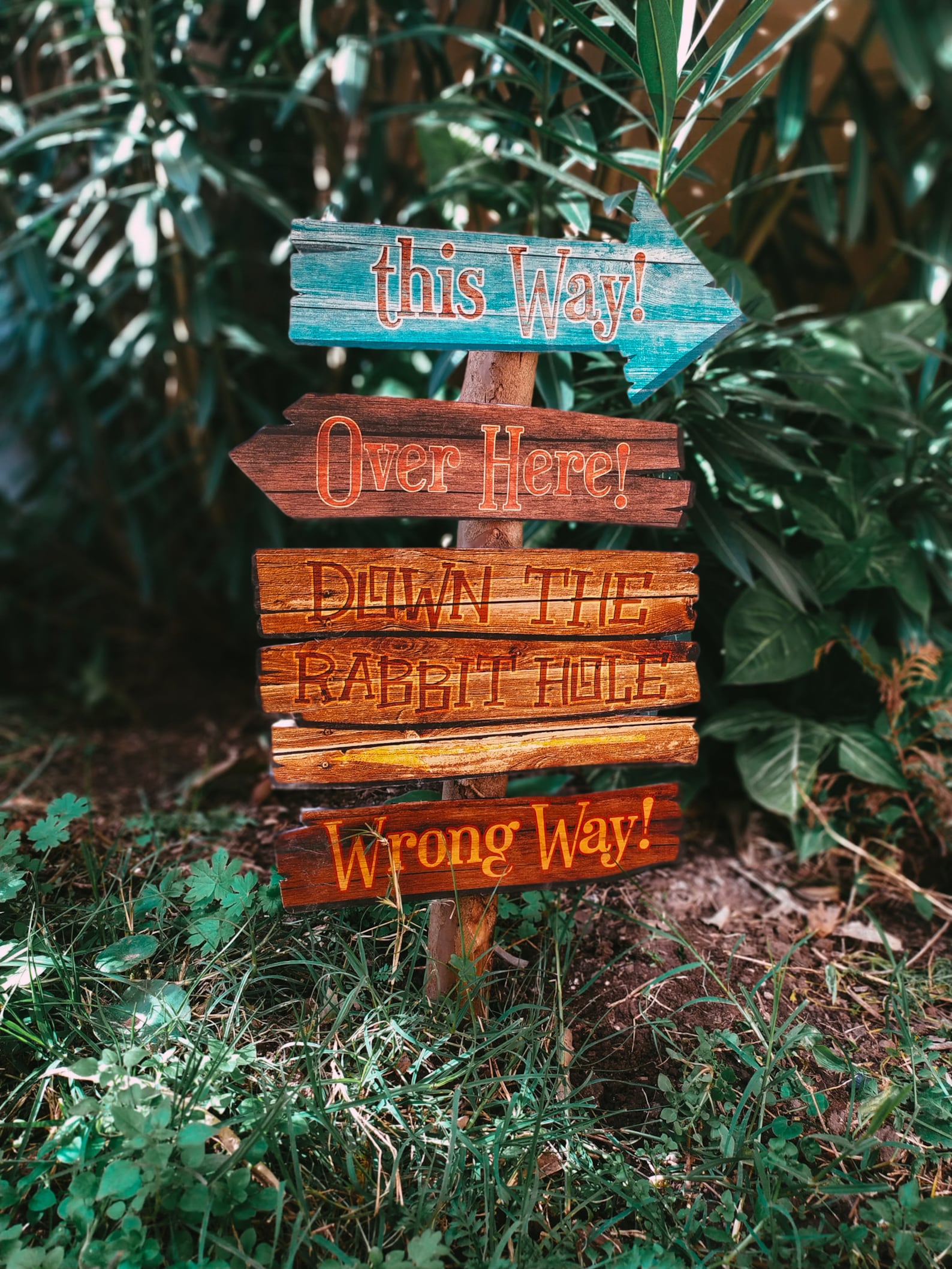 Alice in Wonderland Vintage Signs Decor | Printable Wonderland Decor ...