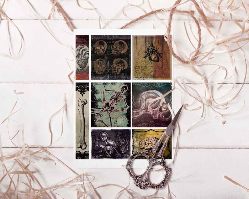 Goth Science Extras Add on Kit • INSTANT Download • Gothic Journal ...