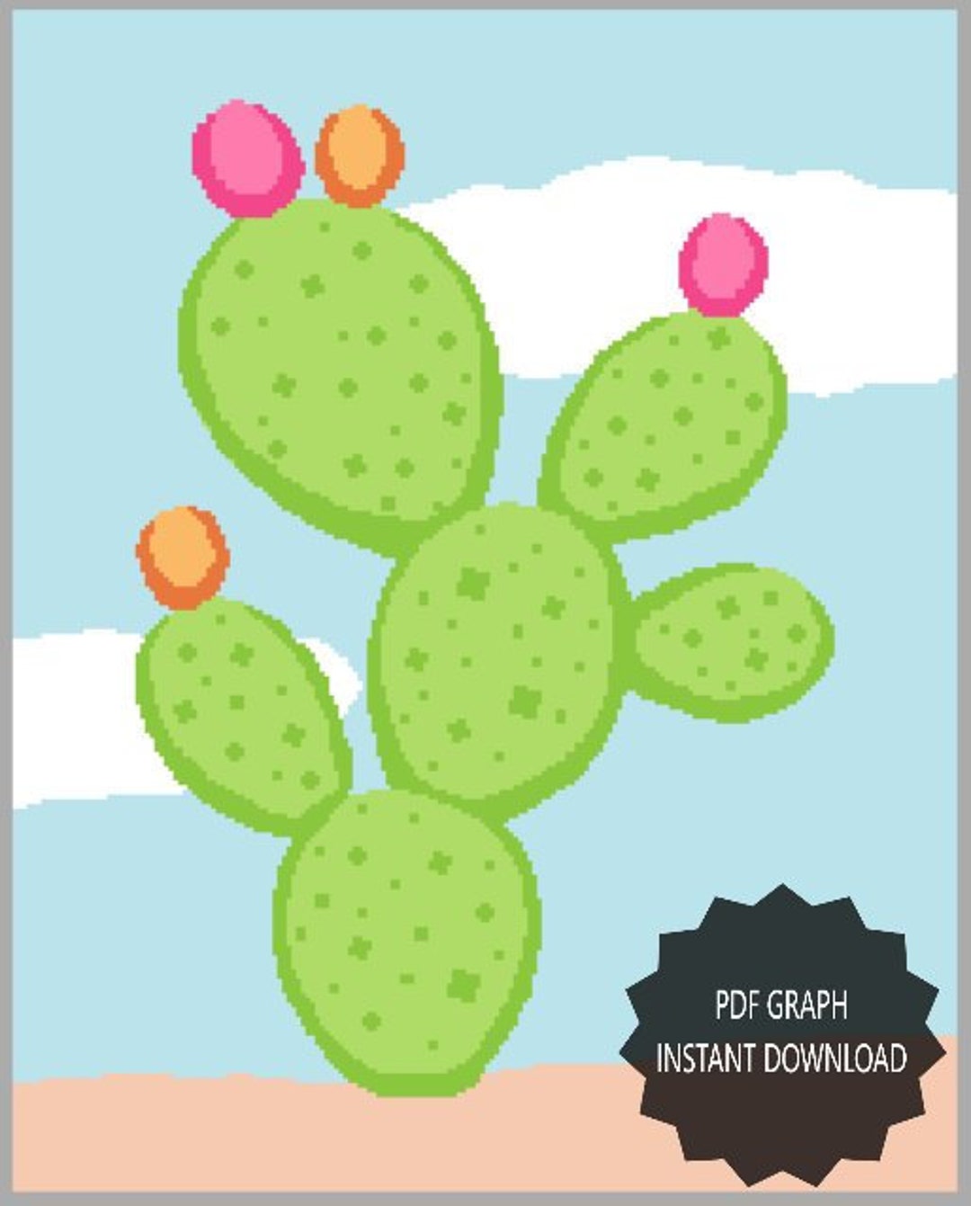 Blooming Cactus Scene Graphgan Graph - Crochet Pattern - Etsy