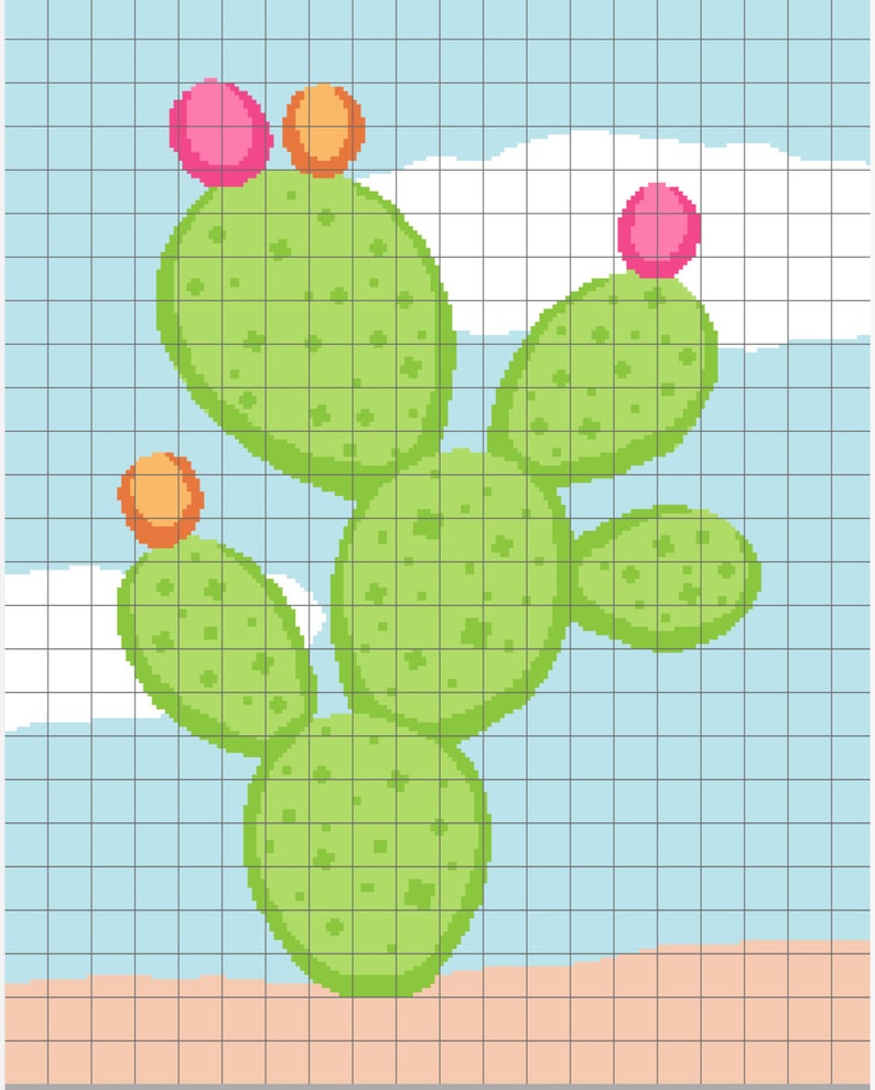 Blooming Cactus Scene Graphgan Graph - Crochet Pattern - Etsy