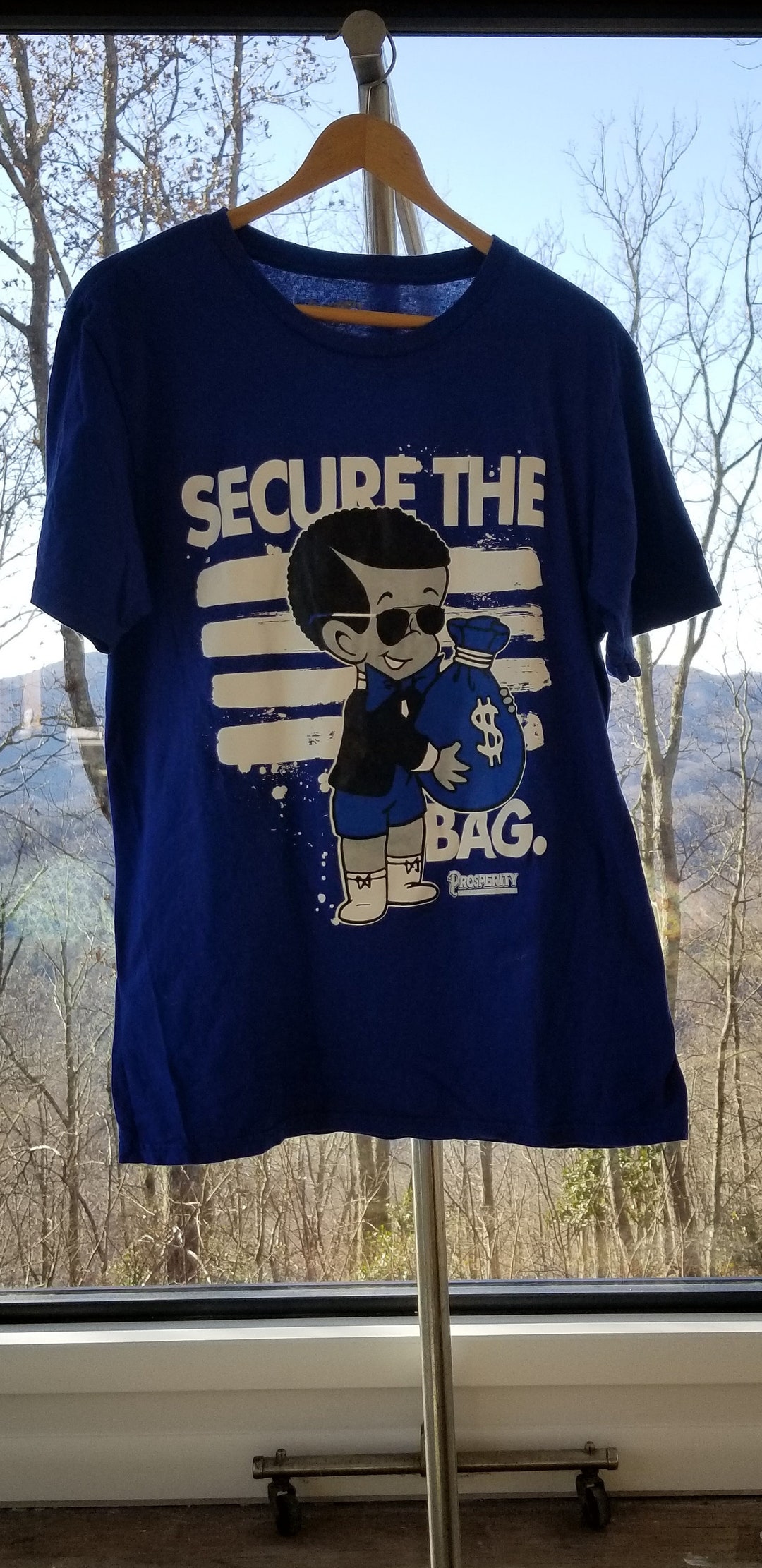 Worn Prosperity Secure the Bag Graphic T Shirt - Etsy