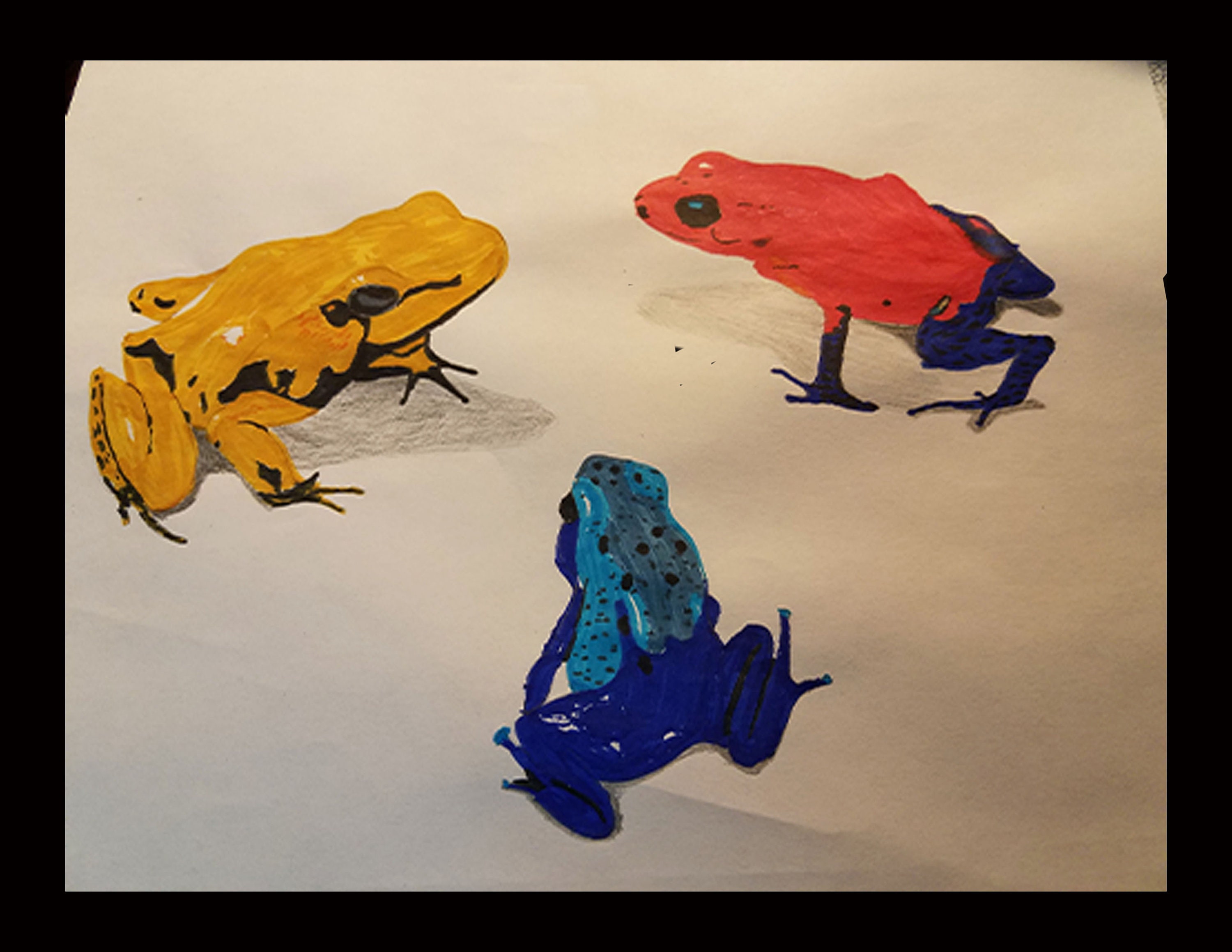 Beautiful three Frog Night Print - Etsy UK