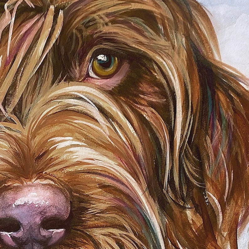 Wirehaired Pointing Griffon Art Print, Watercolor Dog Portrait - Etsy