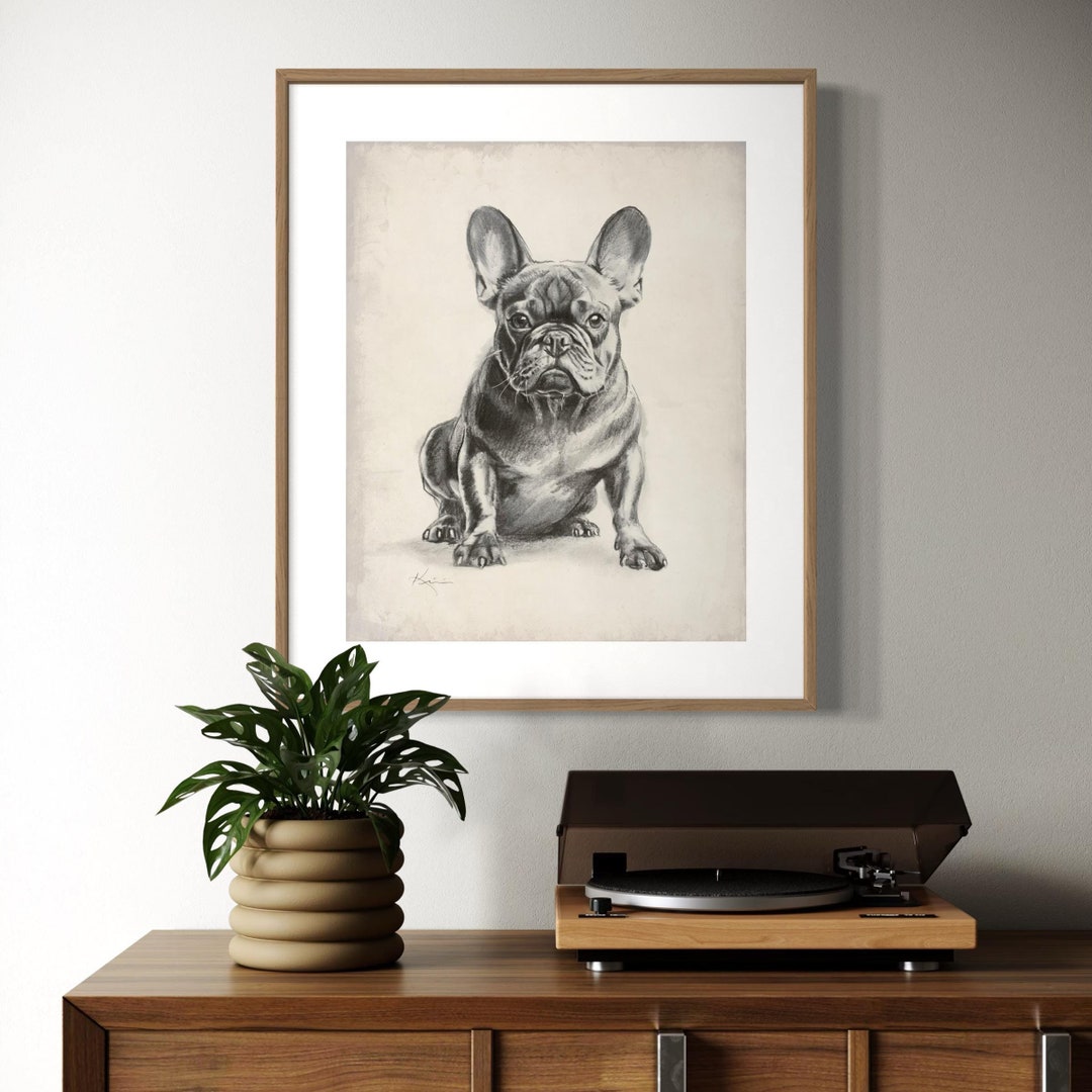 French Bulldog Art Print, Frenchie Drawing, Vintage French Bulldog Art ...