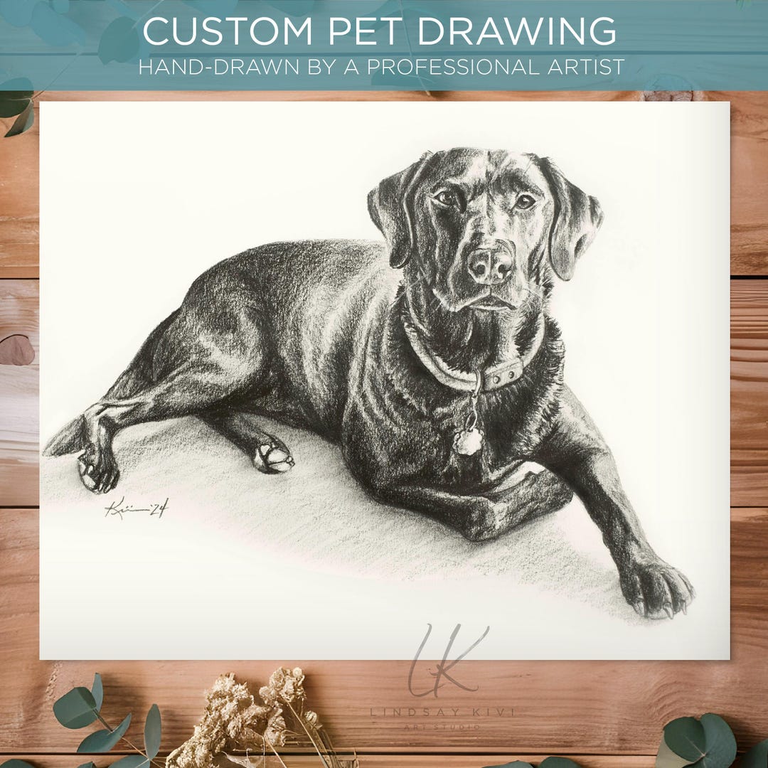 Custom Pet Portrait Drawing From Pictures, Dog Drawing, Cat Drawing ...