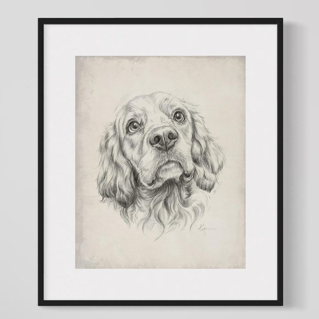 Cocker Spaniel Art Print, Spaniel Drawing, Spaniel Pet Art, Minimalist ...