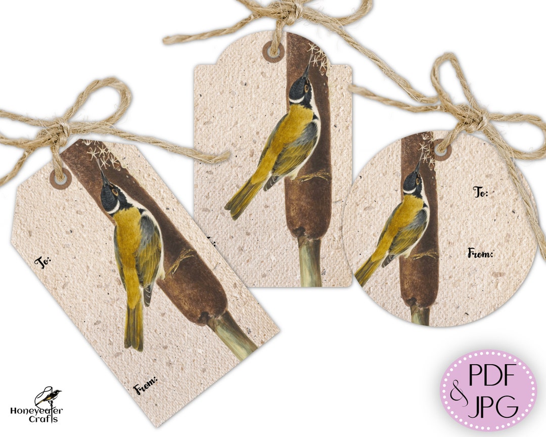 Bird Printable Gift Tags White-naped Honeyeater Avian Themed - Etsy