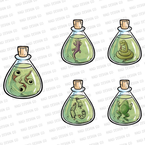 Halloween Magic Potion Bottles Clipart Witches Potions - Etsy