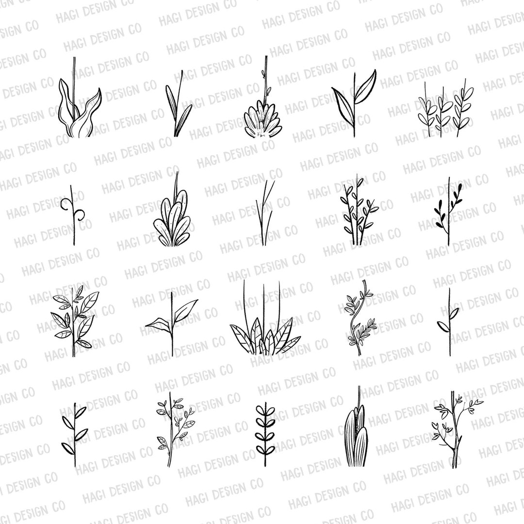 Plant Stem Outlines, Stem and Leaf Cliparts, Houseplant, Flower Stems ...