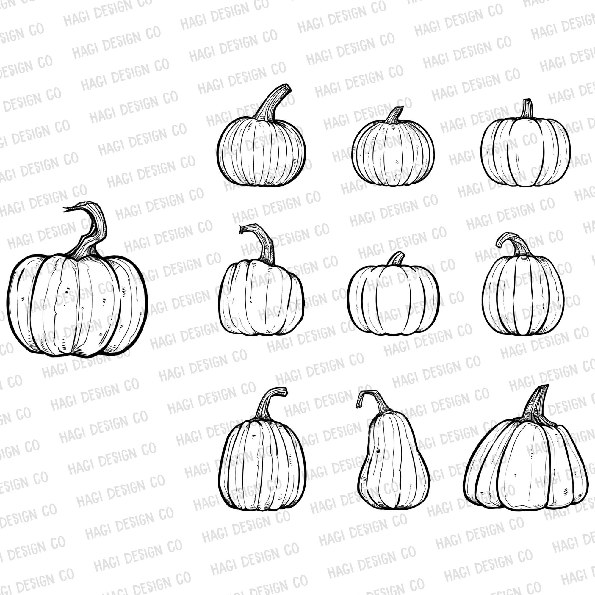 Pumpkin Outlines, Autumn Graphics, October Design, Sketch Vegetable ...