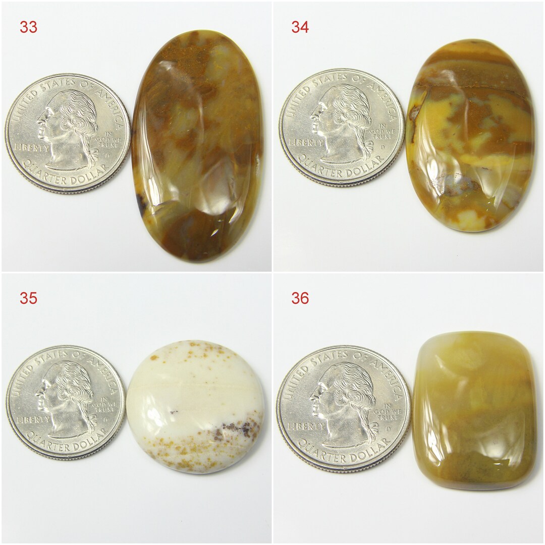 Natural Polka Dot Agate Cabochon Designer Polka Dot Agate Mix Shape ...
