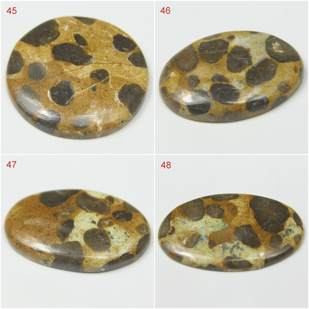 Natural Breccia Metamorphic Rock Cabochon Breccia Metamorphic Stones ...