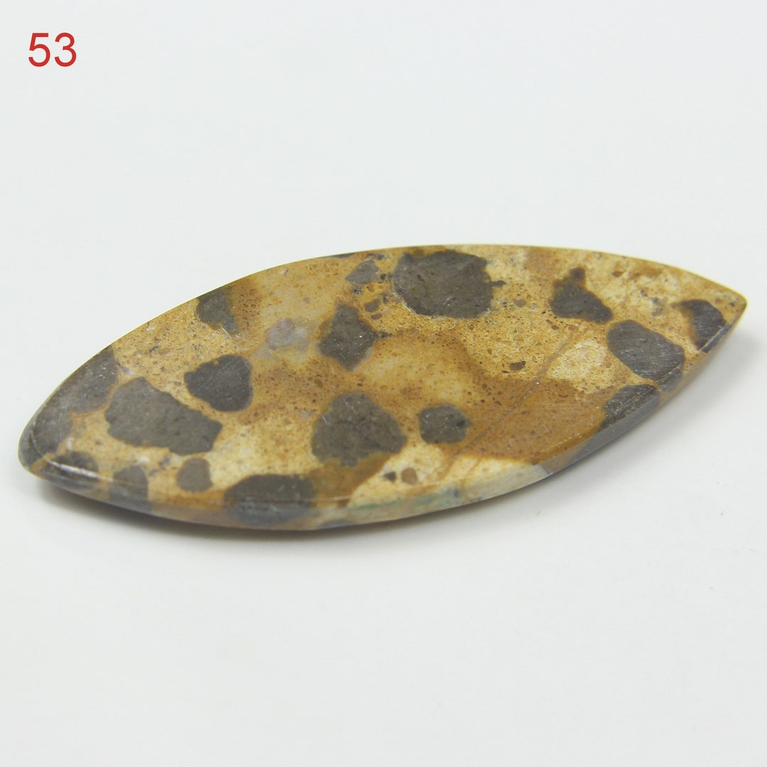 Natural Breccia Metamorphic Rock Cabochon Breccia Metamorphic Stones ...