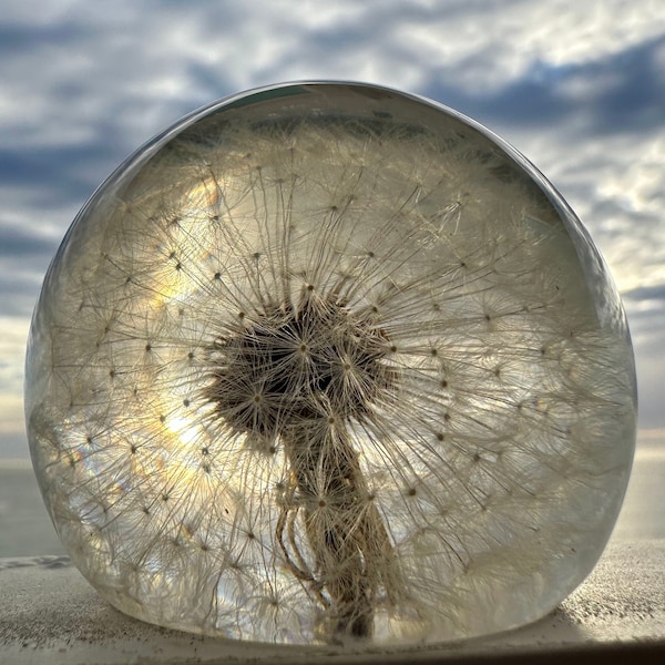 Dandelion in Resin - Etsy