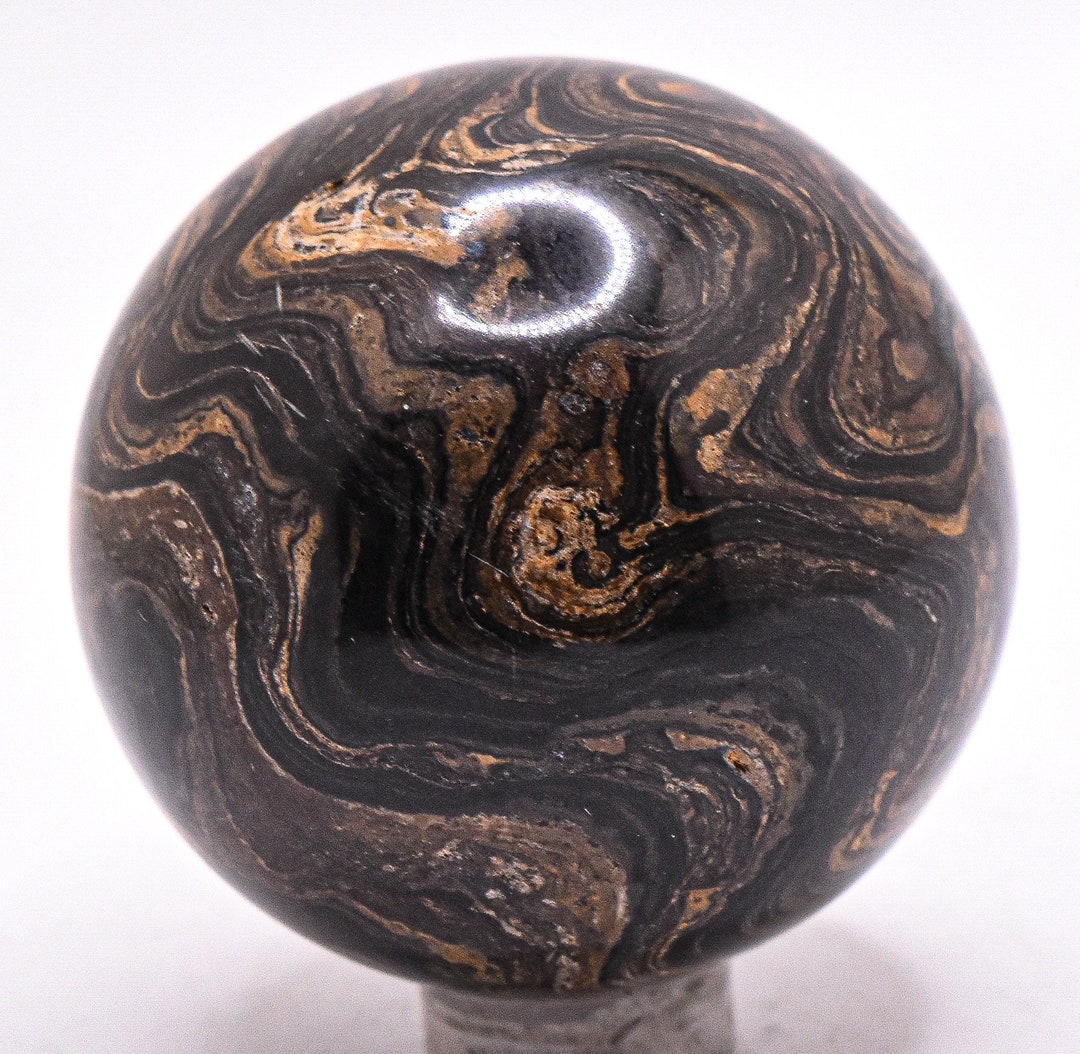 Stromatolite Algae Fossil Carved Sphere Polished 47mm 145g Natural ...