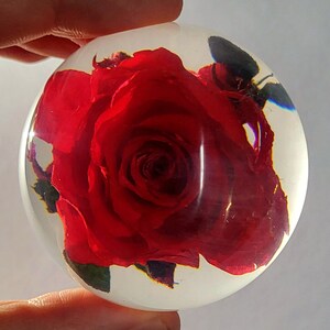 Real Red Rose June Birth Month Flower in Clear Lucite Resin Specimen ...