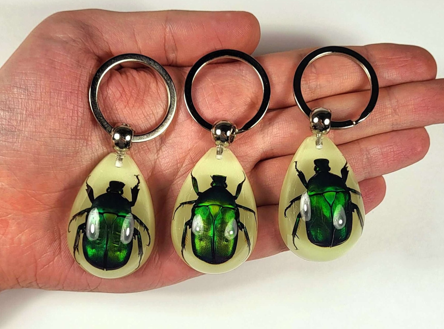 Real Green Chafer Beetle in Glow in the Dark Lucite Resin Keychain ...