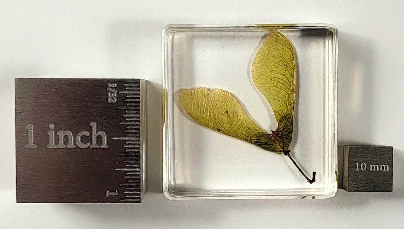 Real Maple Tree Seed Green in Crystal Clear Lucite Resin Specimen 38mm ...