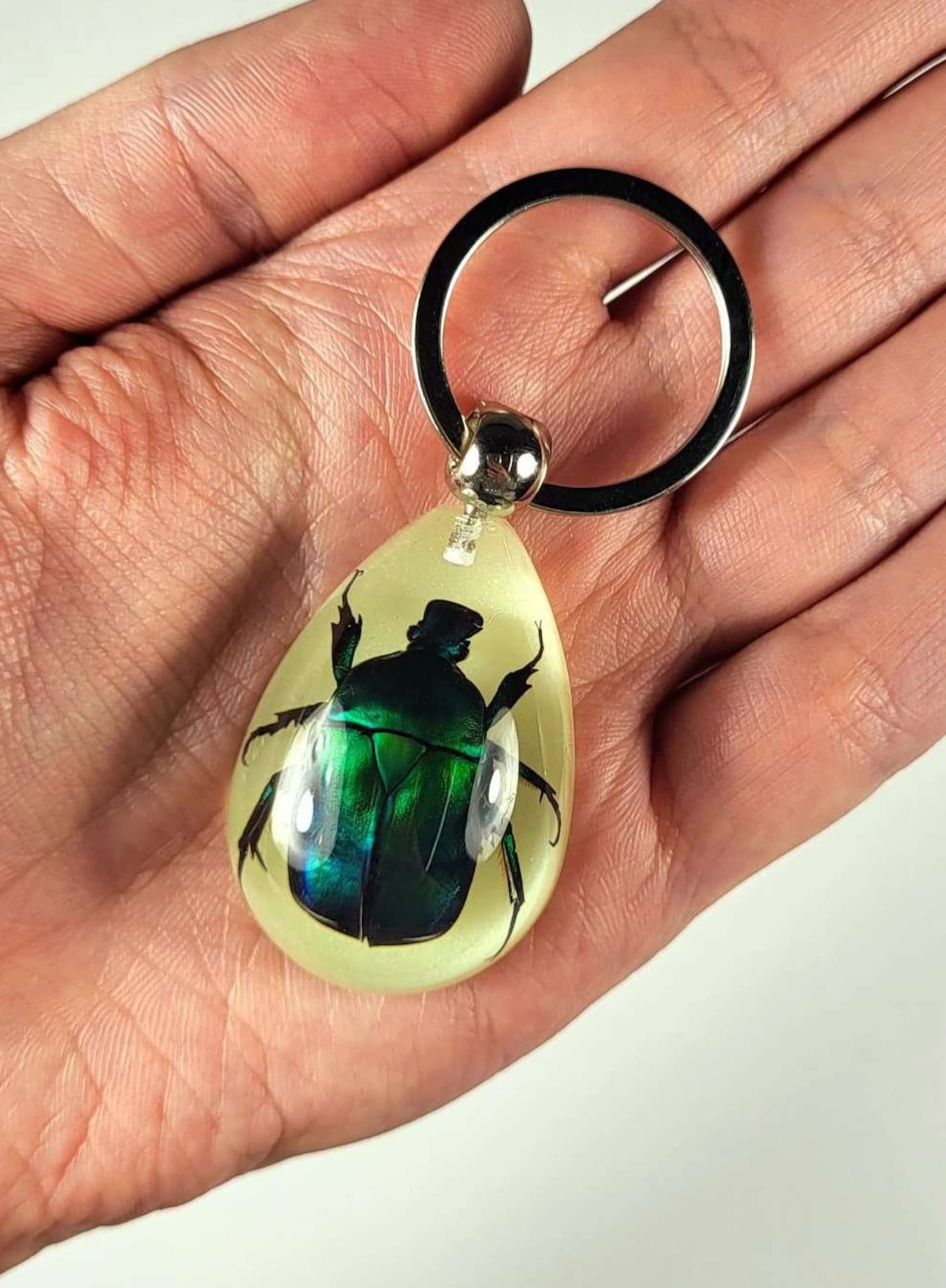 Real Green Chafer Beetle in Glow in the Dark Lucite Resin Keychain ...