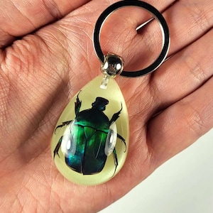 Real Green Chafer Beetle in Glow in the Dark Lucite Resin Keychain ...