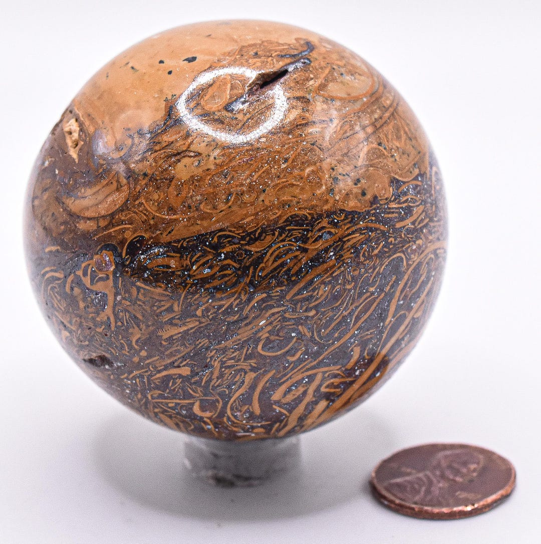 Mariyam Mariam Coquina Fossil Jasper Carved Sphere Polished 54mm 235g ...