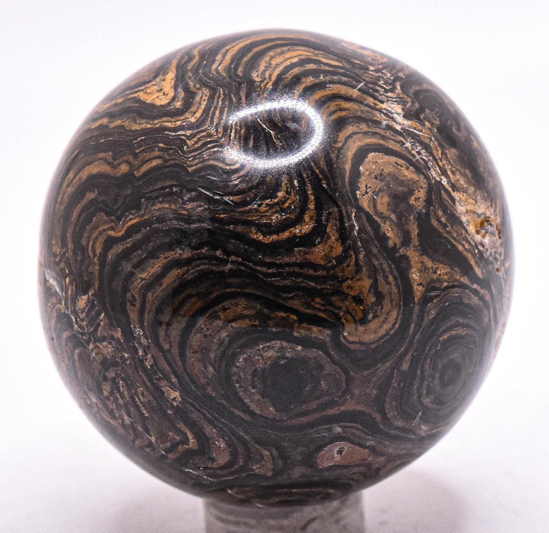 Stromatolite Algae Fossil Carved Sphere Polished 46mm 140g Natural ...