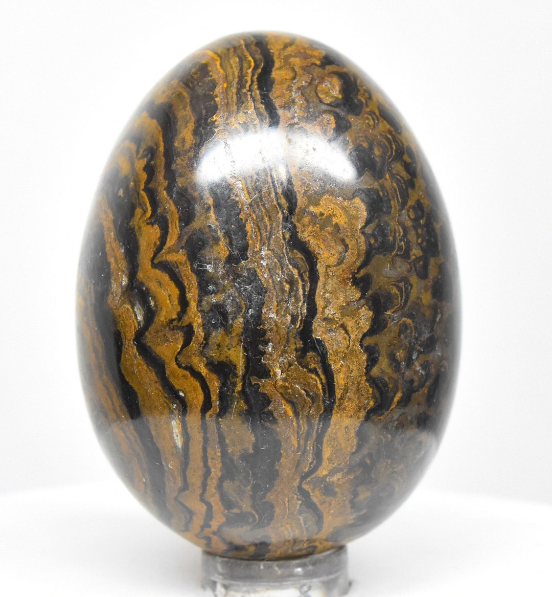 Stromatolite Algae Fossil Egg Polished 56mm 135g Natural Waved Spotted ...