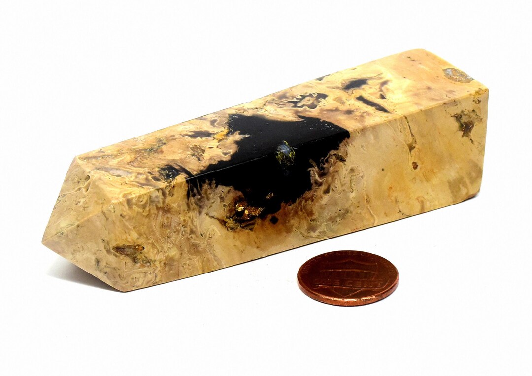 Petrified Palm Tree Wood Obelisk Polished 92mm 110g Natural Fossilized ...