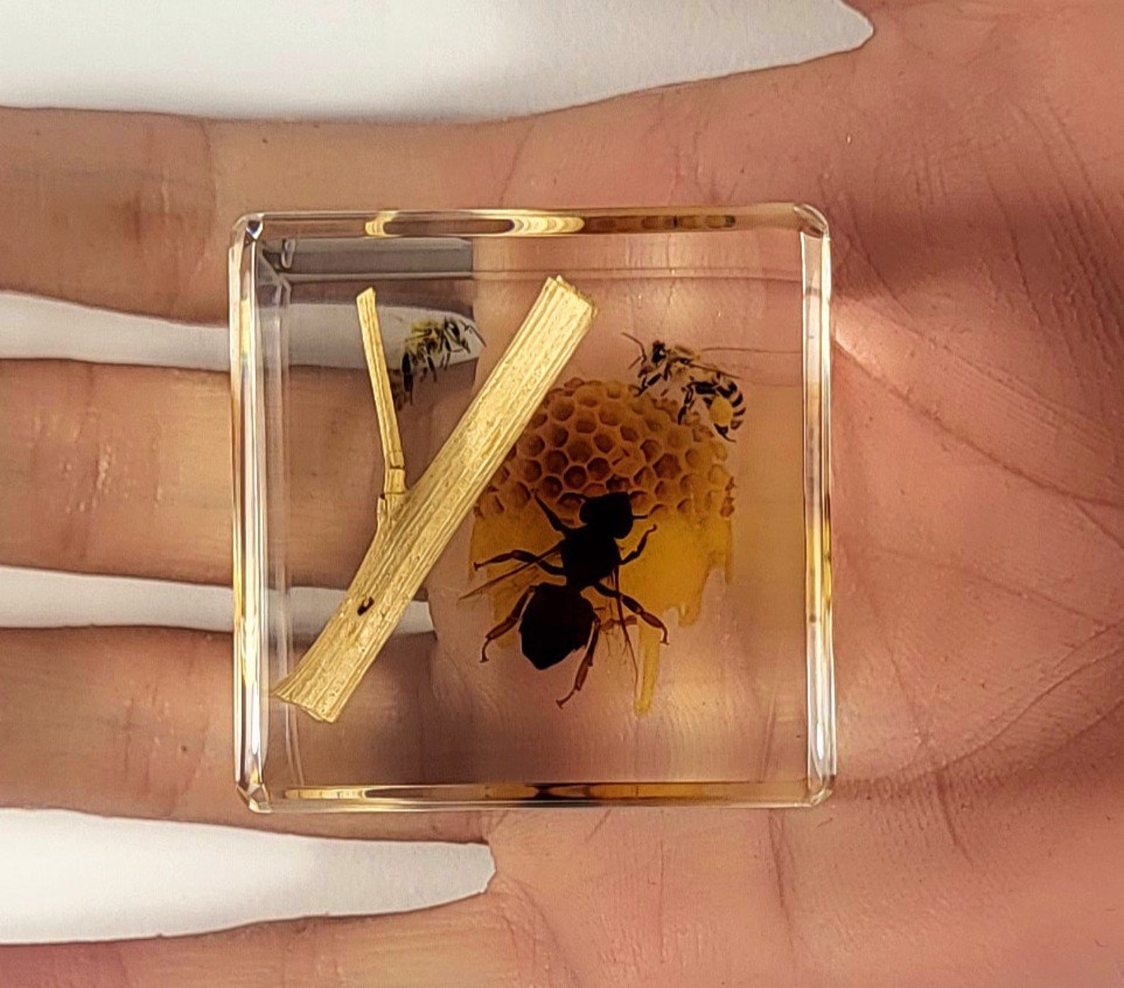 Real Honey Bee Honeybee W/ Decoration in Clear Lucite Resin 40mm Cube ...