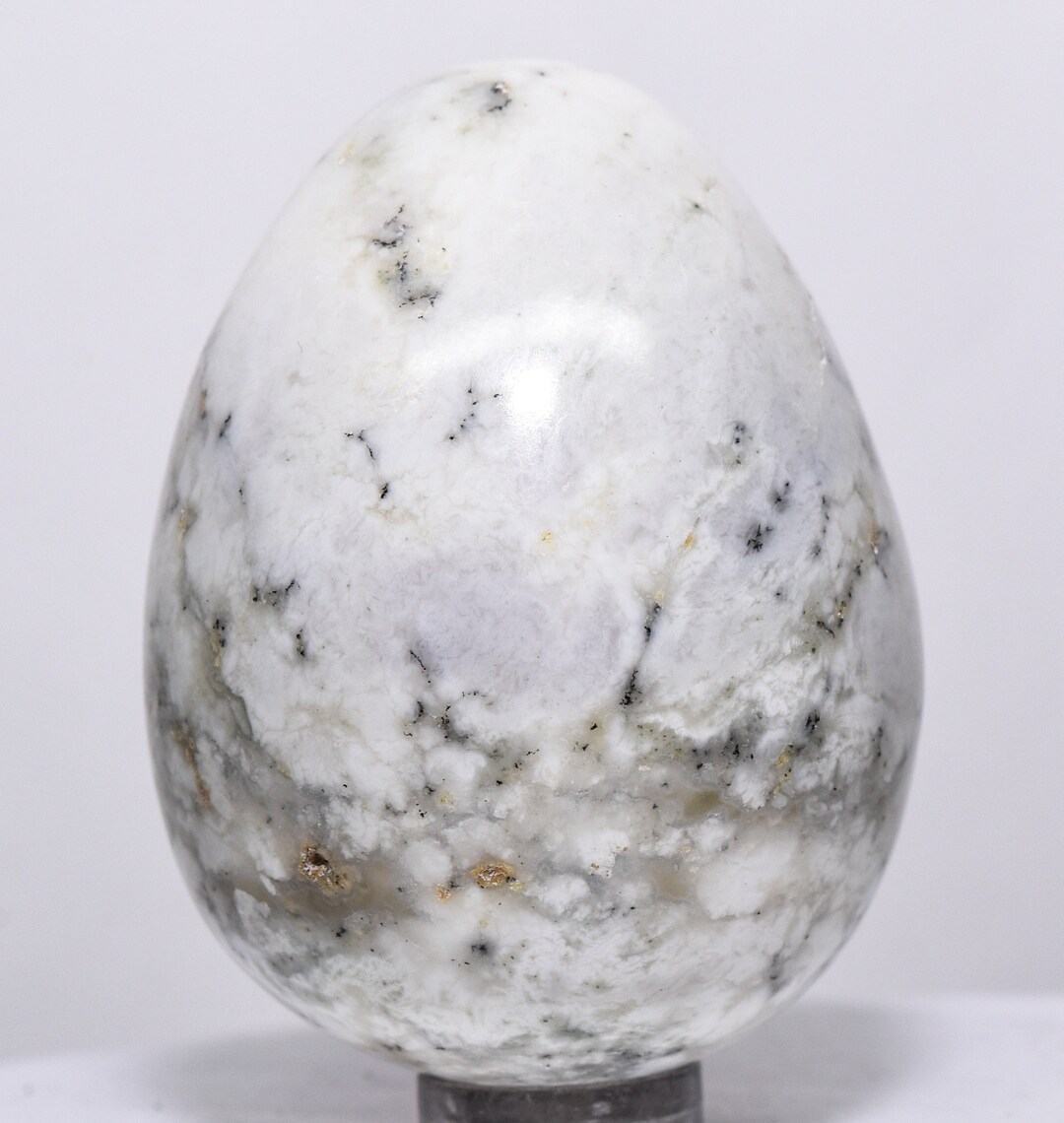 White Dendrite Agate Egg Polished 56mm Natural Black Dendrites in ...