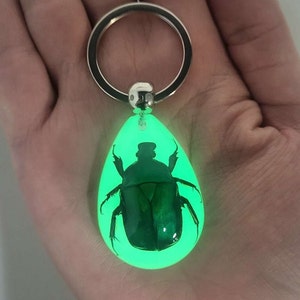 Real Green Chafer Beetle in Glow in the Dark Lucite Resin Keychain ...