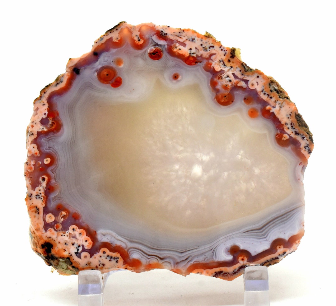 Red Orange Orbicular Orbs Berber Agate Carved Slab 88mm 130g Banded ...