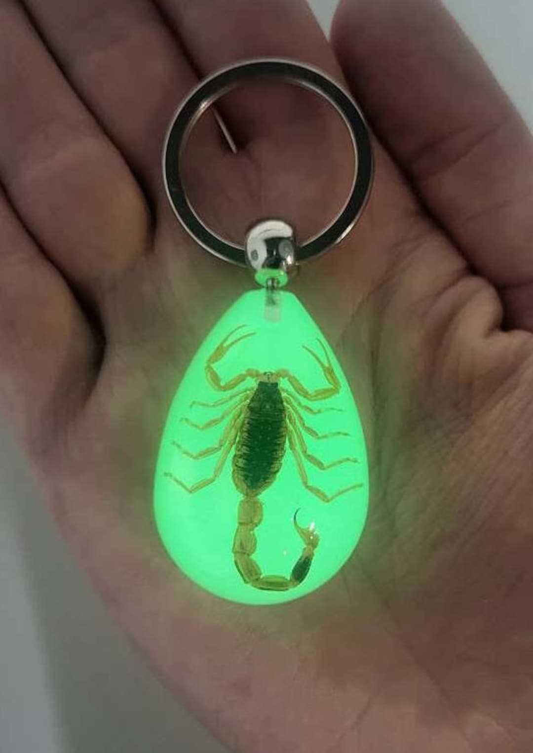 Real Golden Scorpion in Glow in the Dark Lucite Resin Keychain Insect ...