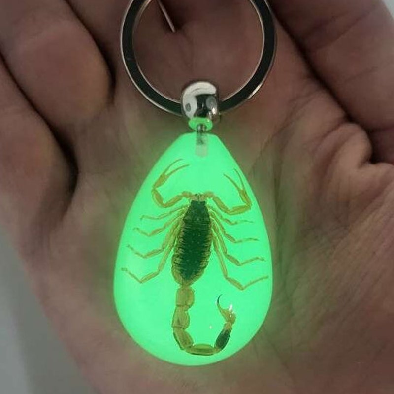 Key Rings for Women Resin - Etsy