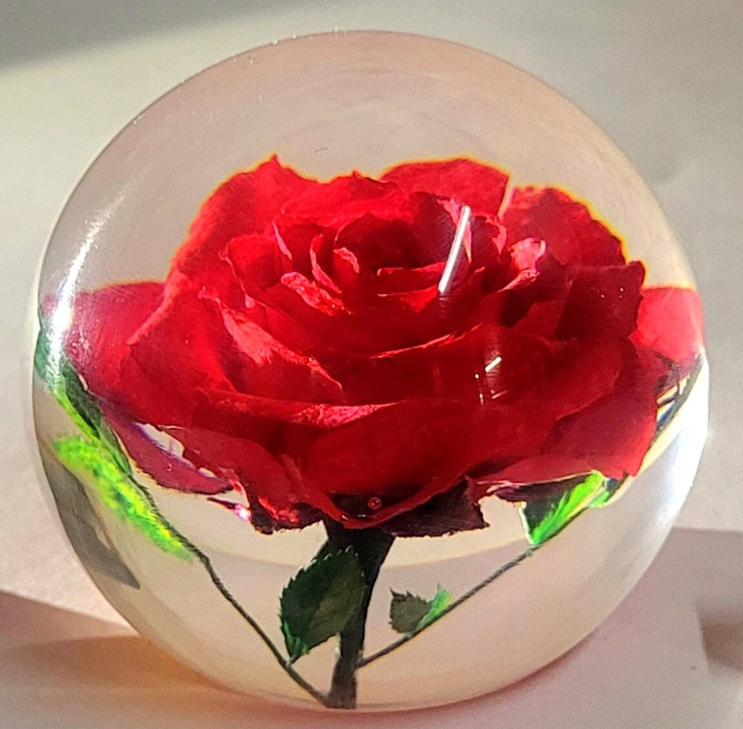 Real Red Rose June Birth Month Flower in Clear Lucite Resin Specimen ...