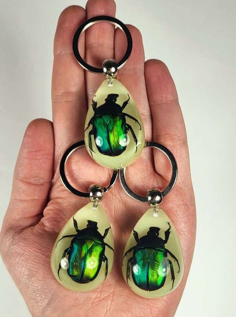 Real Green Chafer Beetle in Glow in the Dark Lucite Resin Keychain ...