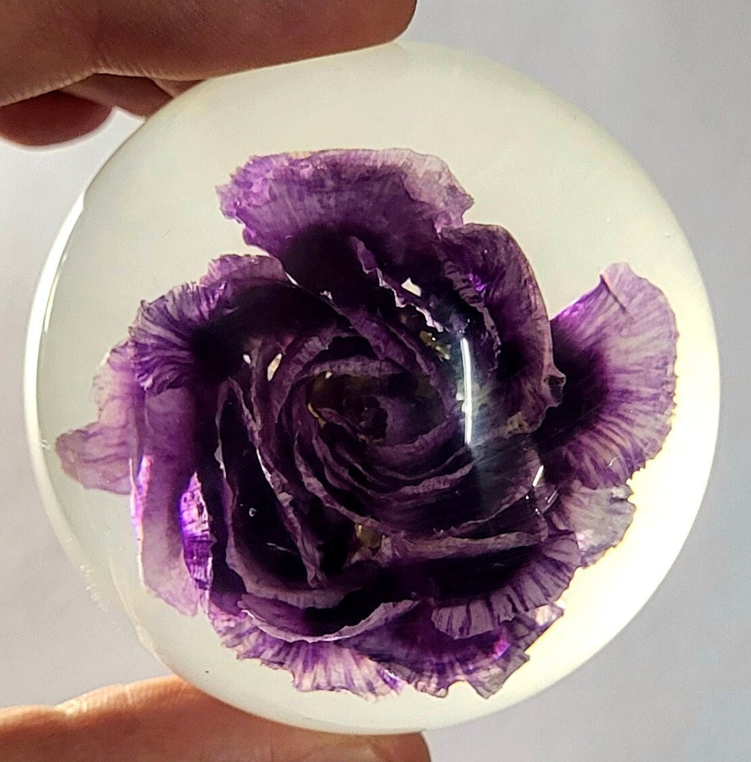 Real Purple Carnation January Birth Month Flower in Lucite Resin ...