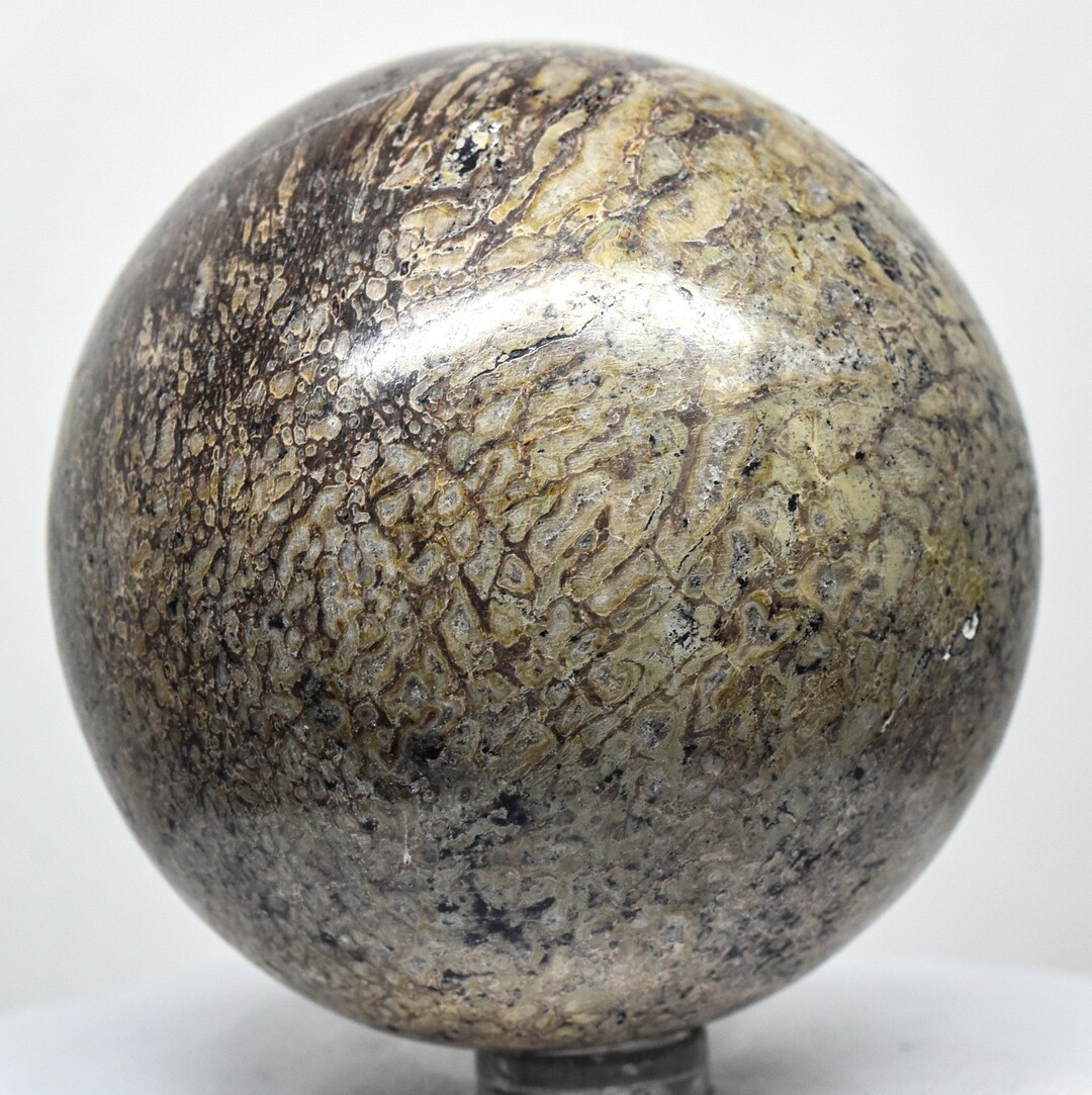 Dinosaur Bone Fossil Carved Into Sphere Polished 68mm 415g Natural ...