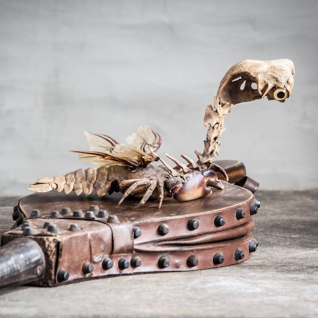 Bones Crustacean Sculpture. Assembly. Insect. Crab - Etsy UK
