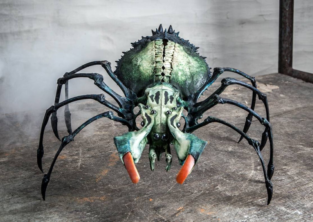 Big Spider. Bones Sculpture Oddity Art. Curiosity. Skull - Etsy UK