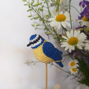 Bird Crochet Pattern Amigurumi Blue Tit Crochet Tutorial - Etsy