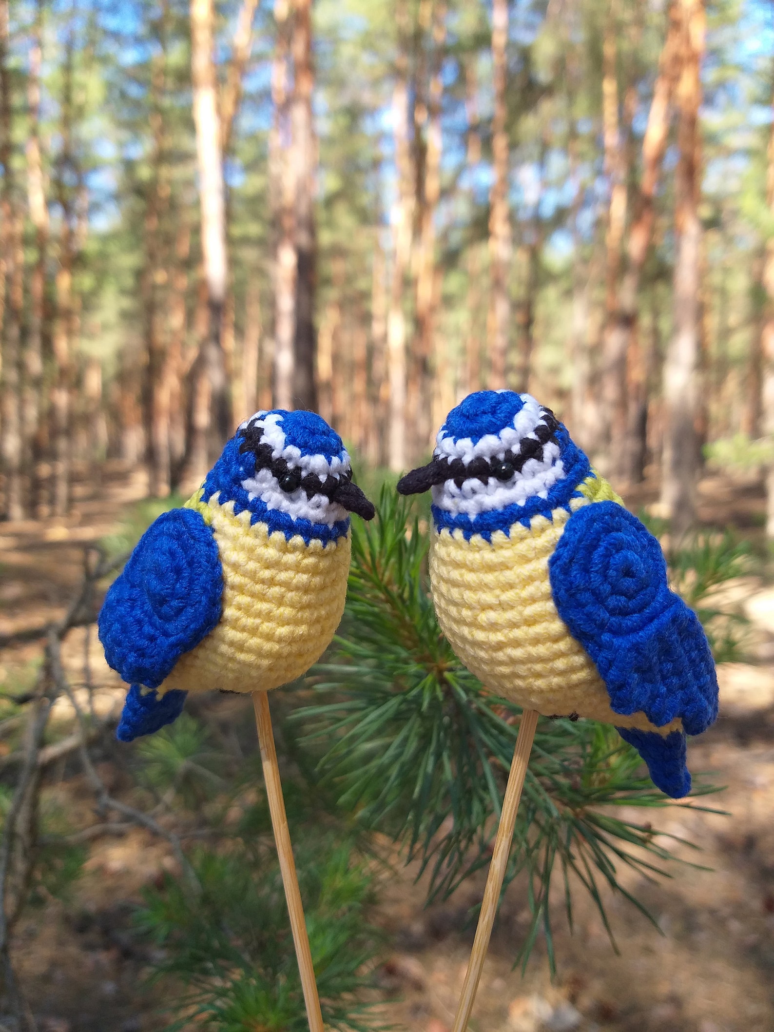 Bird Crochet Pattern Amigurumi Blue Tit Crochet Tutorial | Etsy