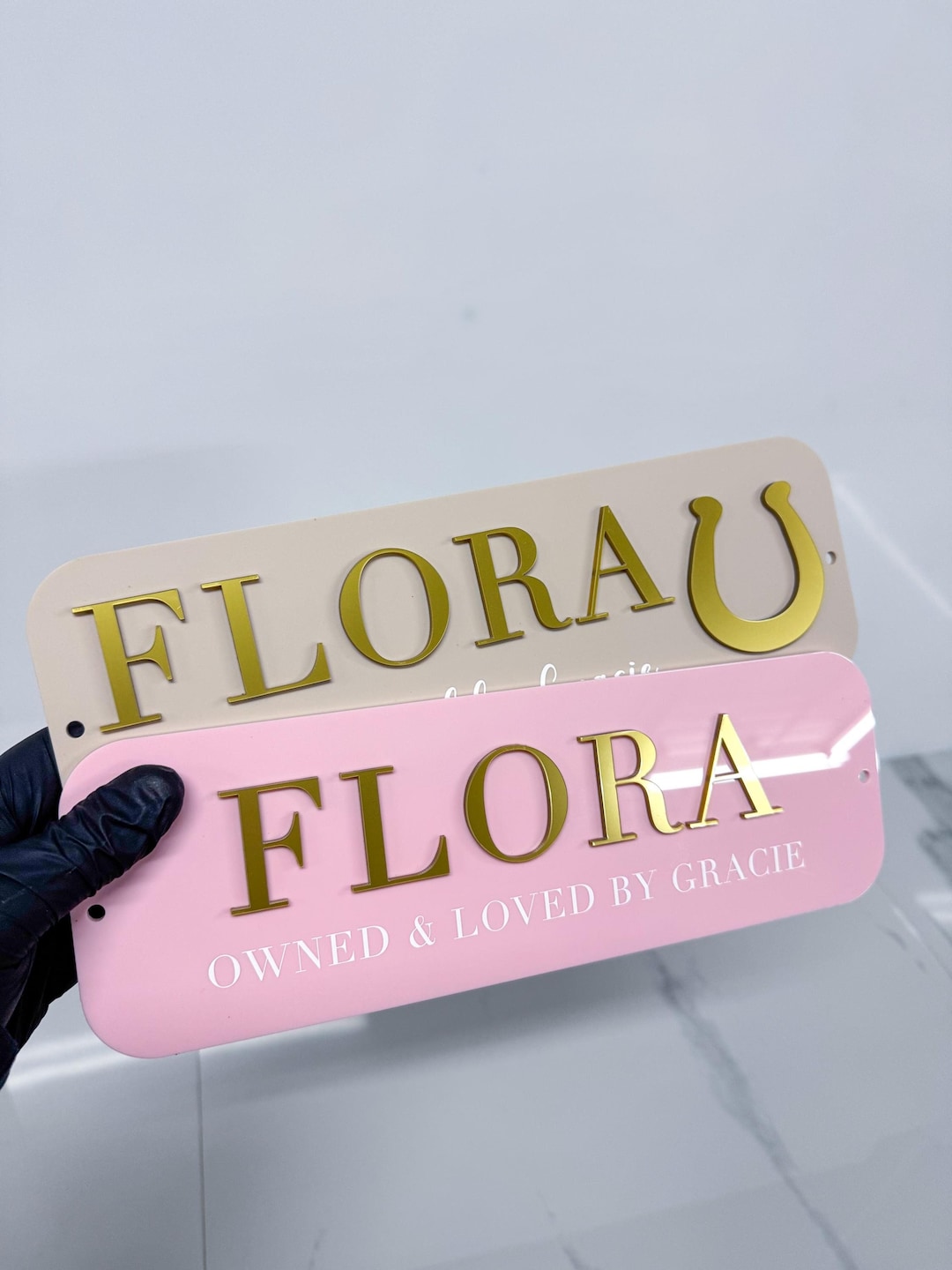 Stable Sign | Acrylic Stall Name Plate | Horse Door Sign | Modern ...