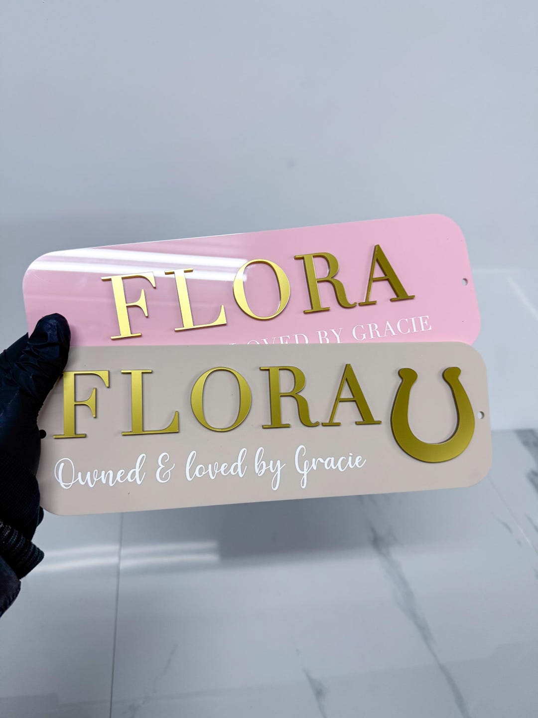 Stable Sign | Acrylic Stall Name Plate | Horse Door Sign | Modern ...