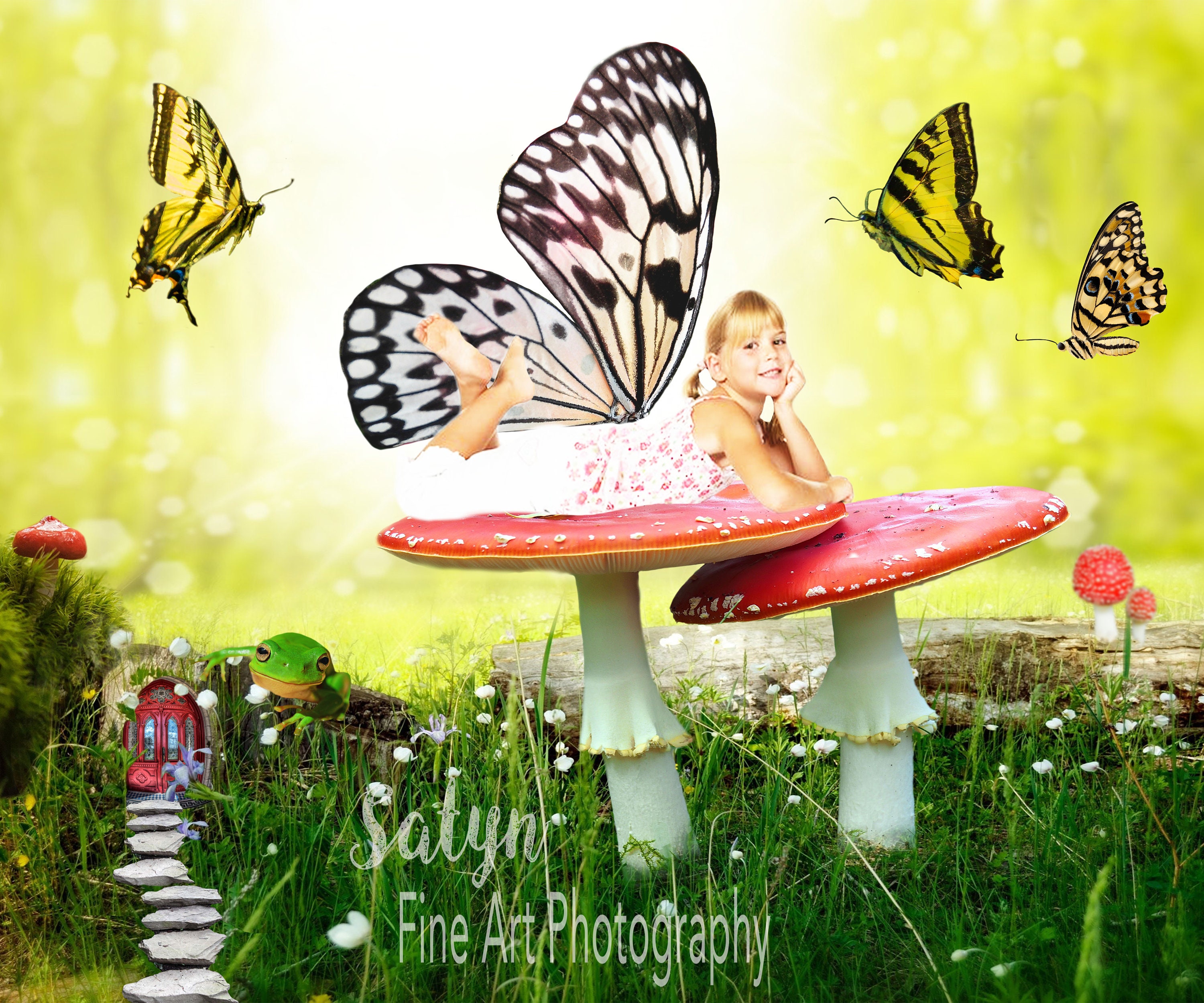 Photography pixie Pixie wings butterflies magical forest fairytail ...