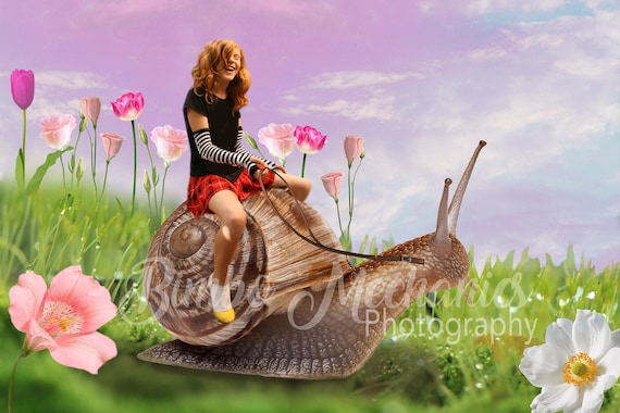 Magical Snail Ride Digital Backdrop Props Photography - Etsy