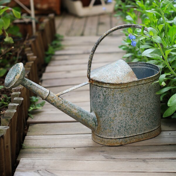 Vintage Watering Can - Etsy